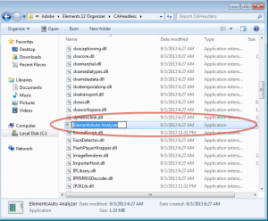 The Elements 12 Auto Analyzer–Adobe’s Evil Undead – Barbara's Sort-of ...